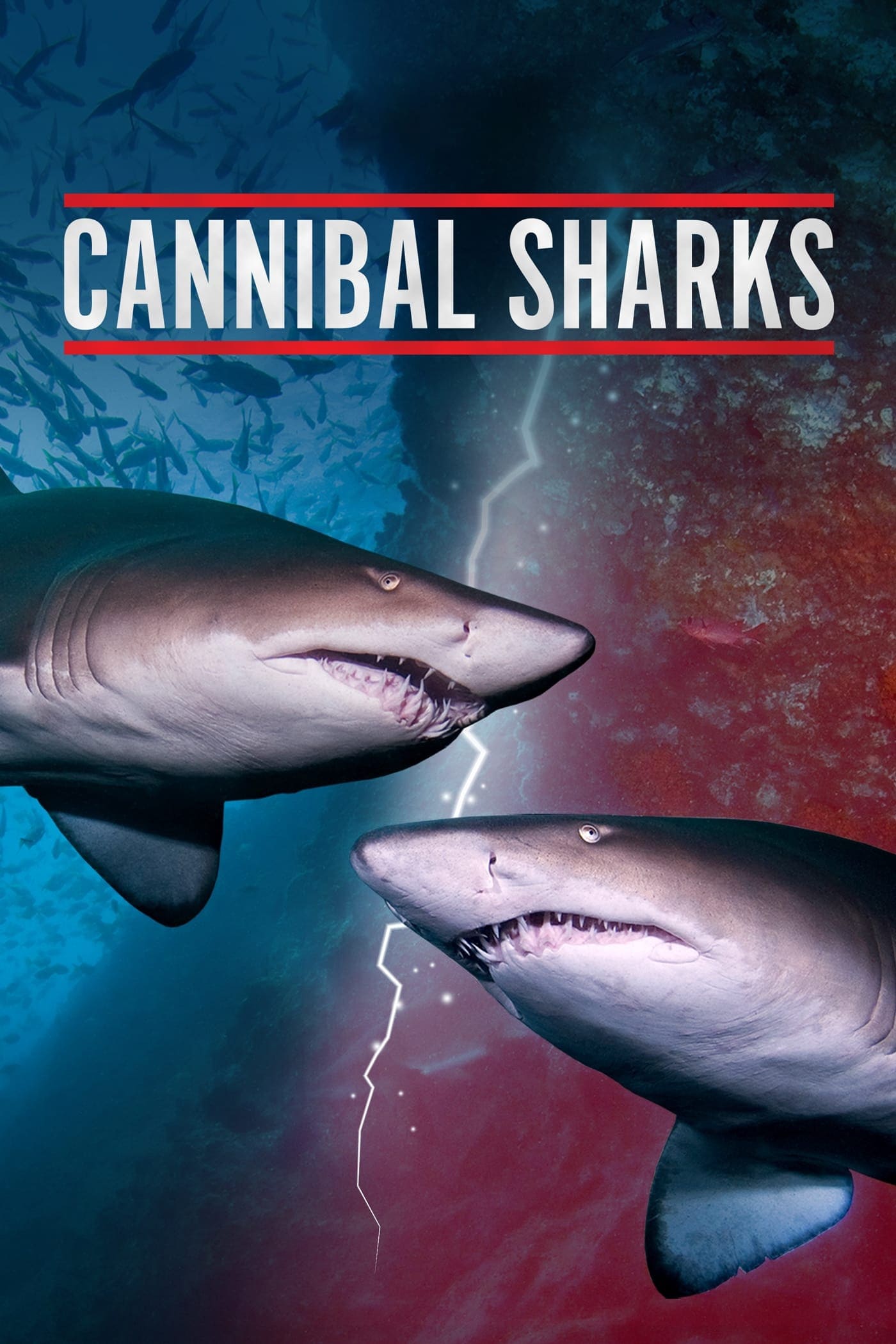 Cannibal Sharks - เว็บดูหนังฟรี หาลิ้งก์ดูหนังออนไลน์ หนังมาใหม่ 2025 ...